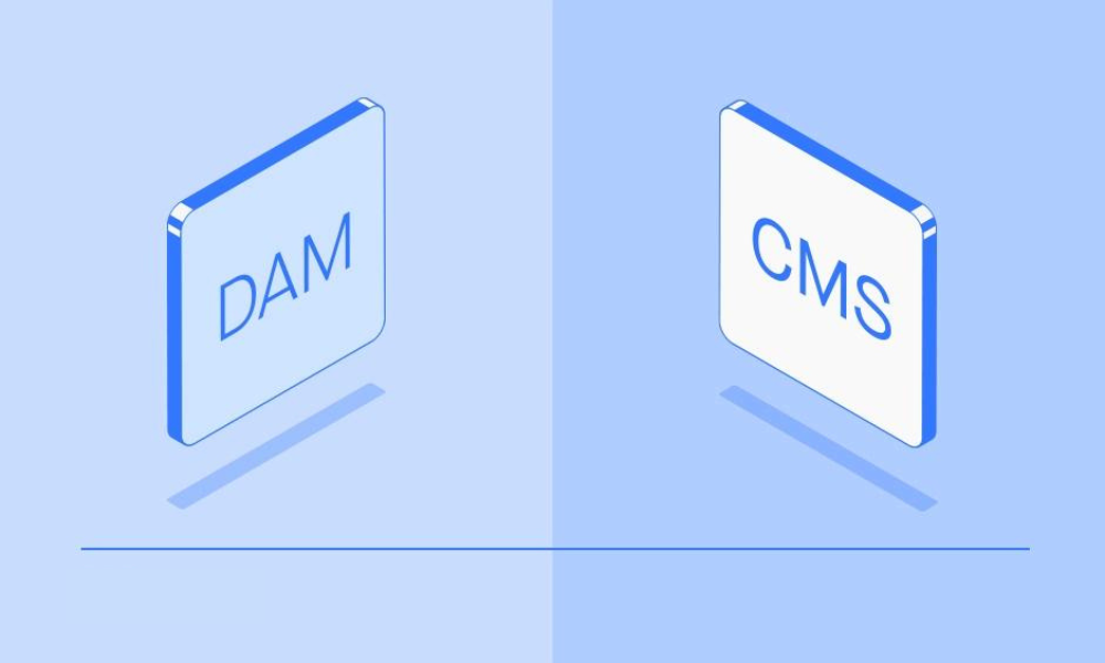 DAM vs CMS: How are they Different and Do They Work? DAM vs CMS: How are they Different and Do They Work?
