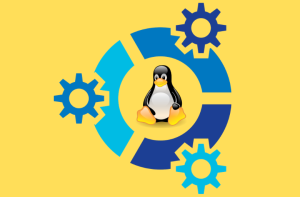 Linux as a Service (LaaS): Everything You Need to Know About It