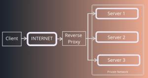 Reverse Proxy vs. Load Balancer: Brief Comparison of the Two