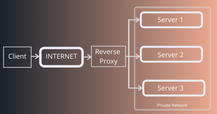 Reverse Proxy vs. Load Balancer: Brief Comparison of the Two